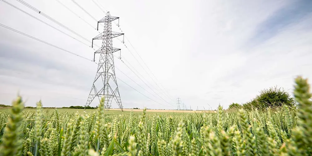 Customer Management - Synergi Electric