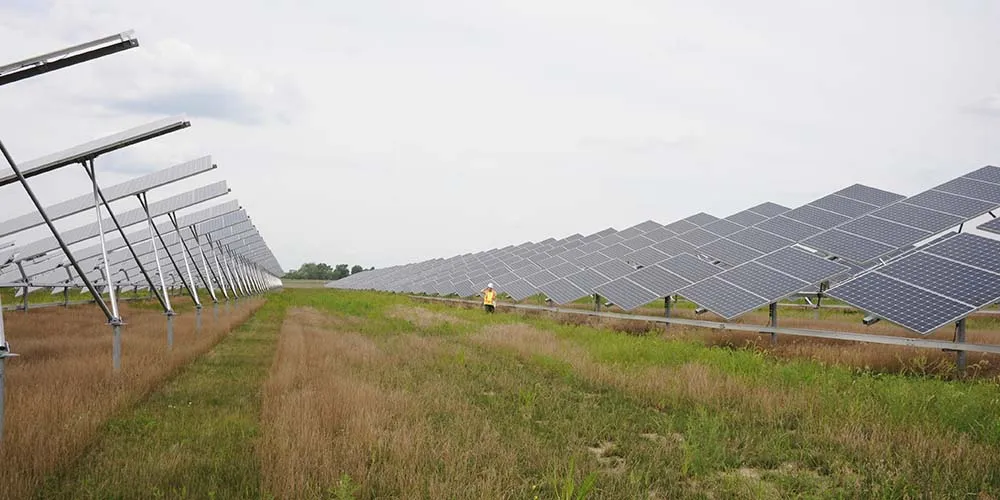 Publishing - Synergi Electric