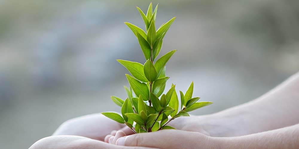 Health and safety management system and incident management software ...