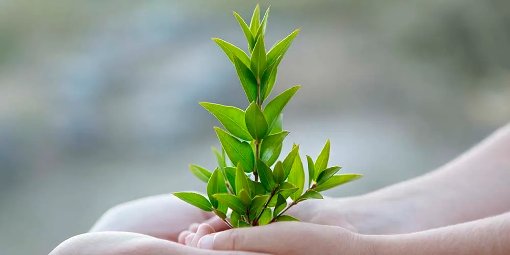 Health and safety management system and incident management software ...