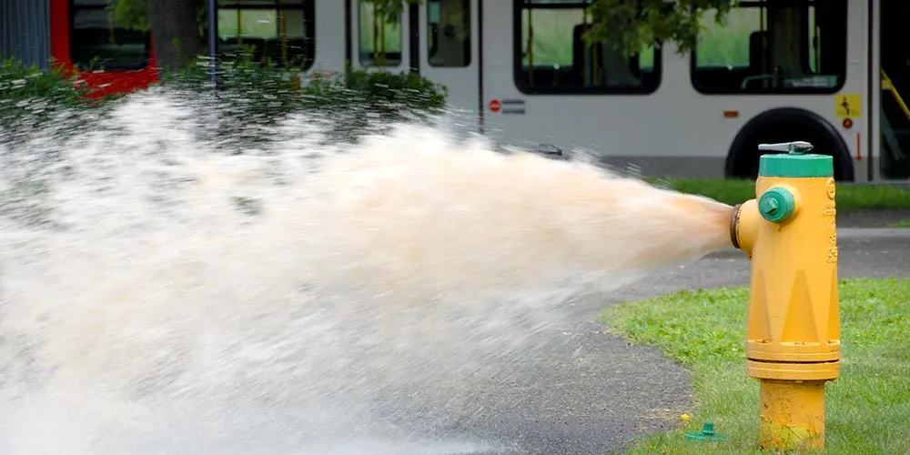 Unidirectional Flushing - Synergi Water